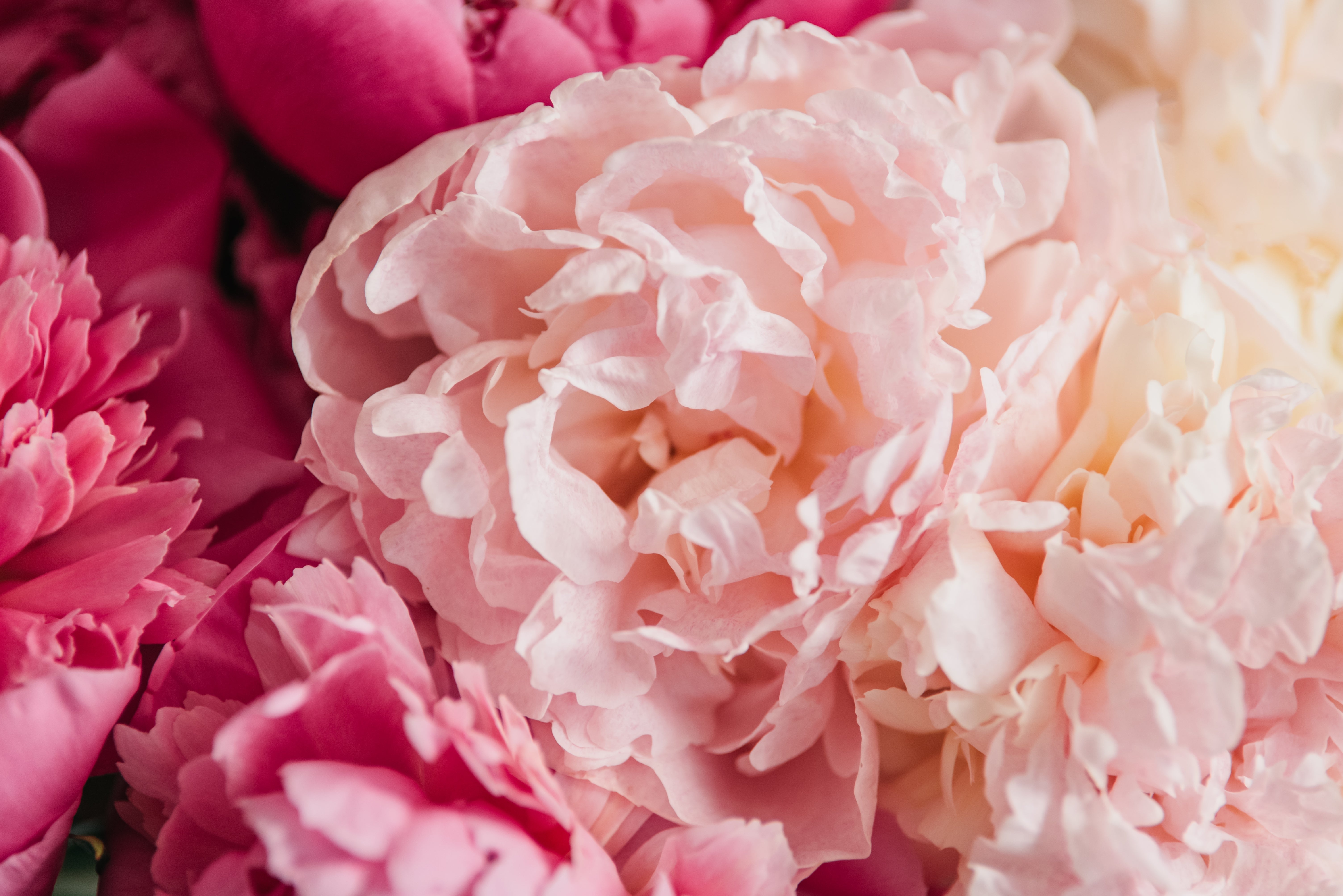 Floral – Hillhouse Naturals
